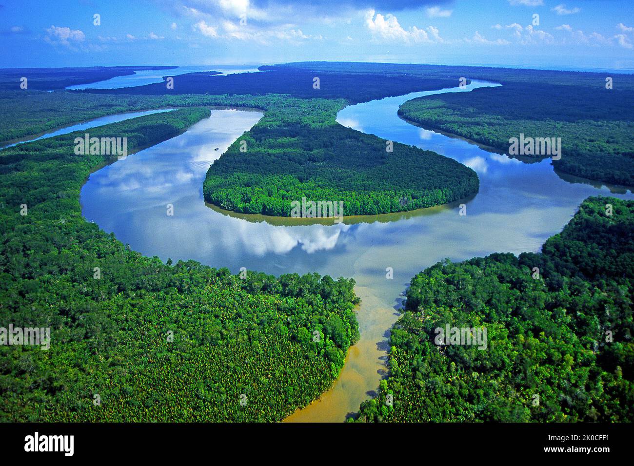 River at rain forest, Borneo, Kalimatan, Malaysia, Asia Stock Photo - Alamy