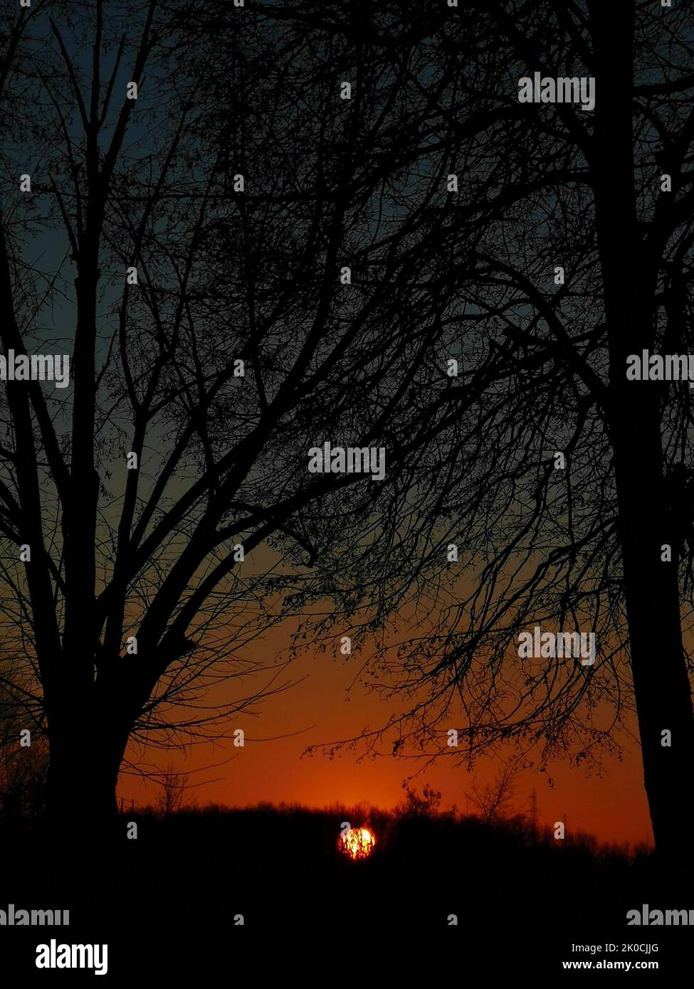 Tree silhouette against sunset sky background. Trees against red sky ...