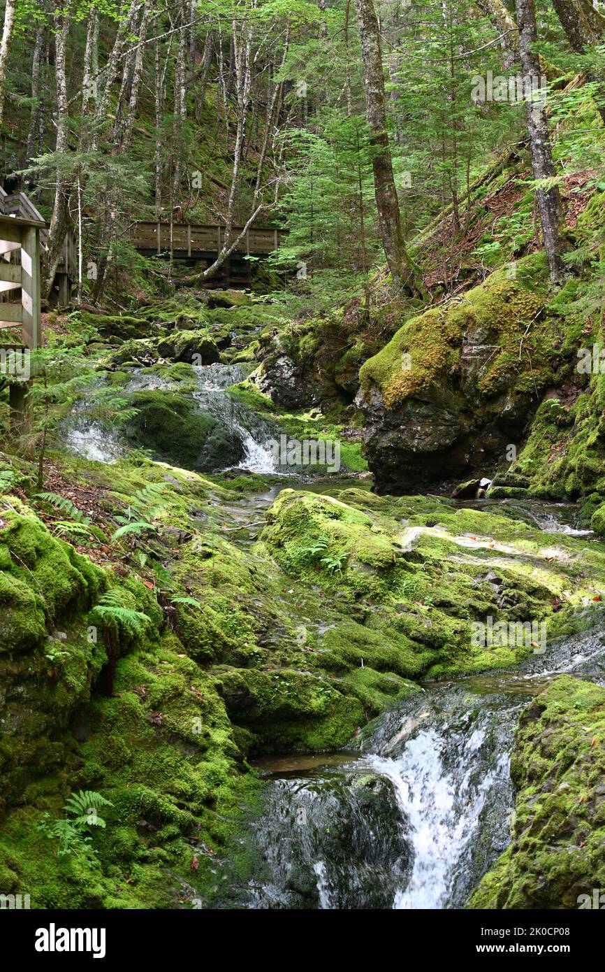 Dickson falls hi-res stock photography and images - Alamy