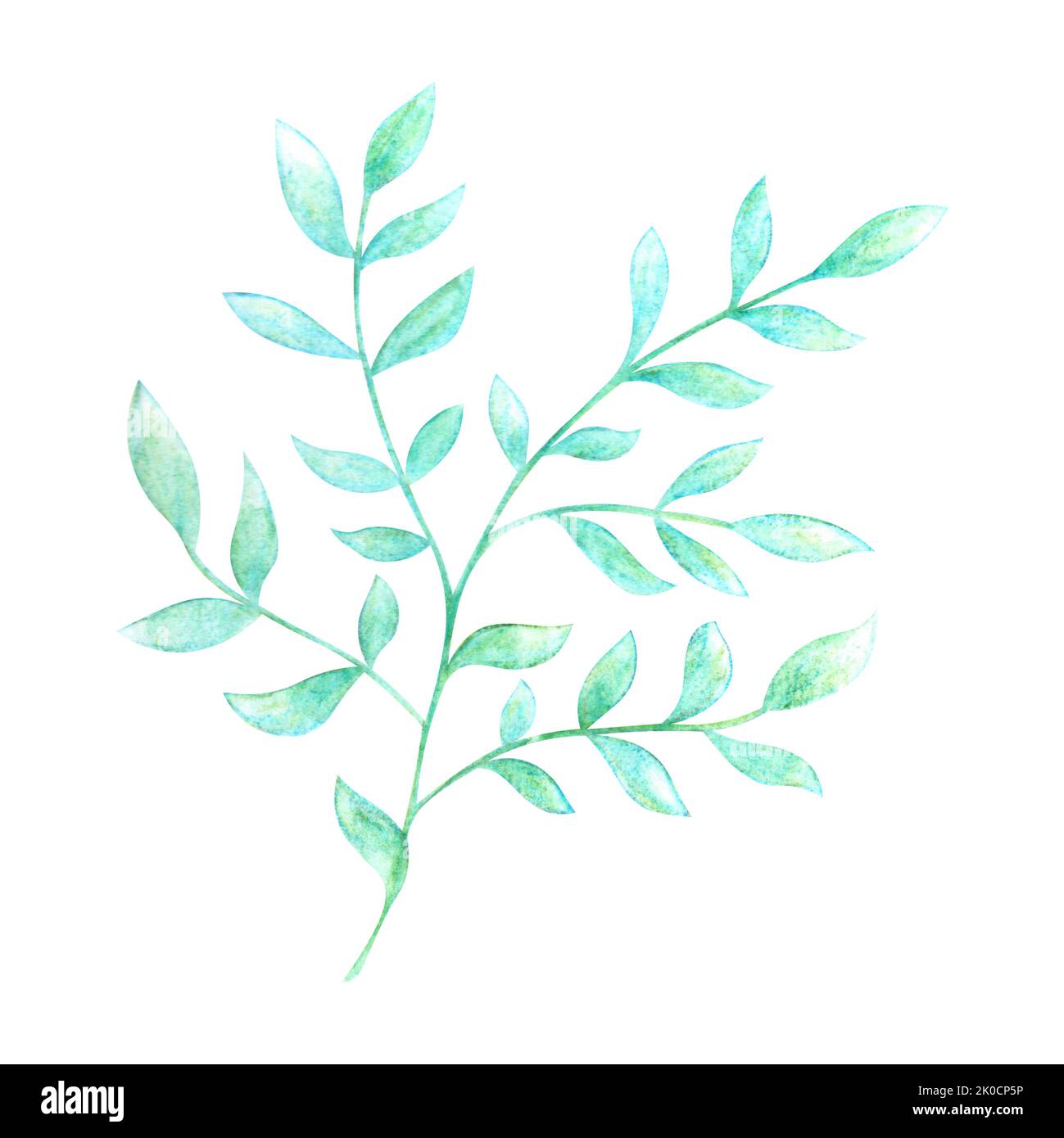 A twig with leaves painted in watercolor and pencils, isolated on a ...