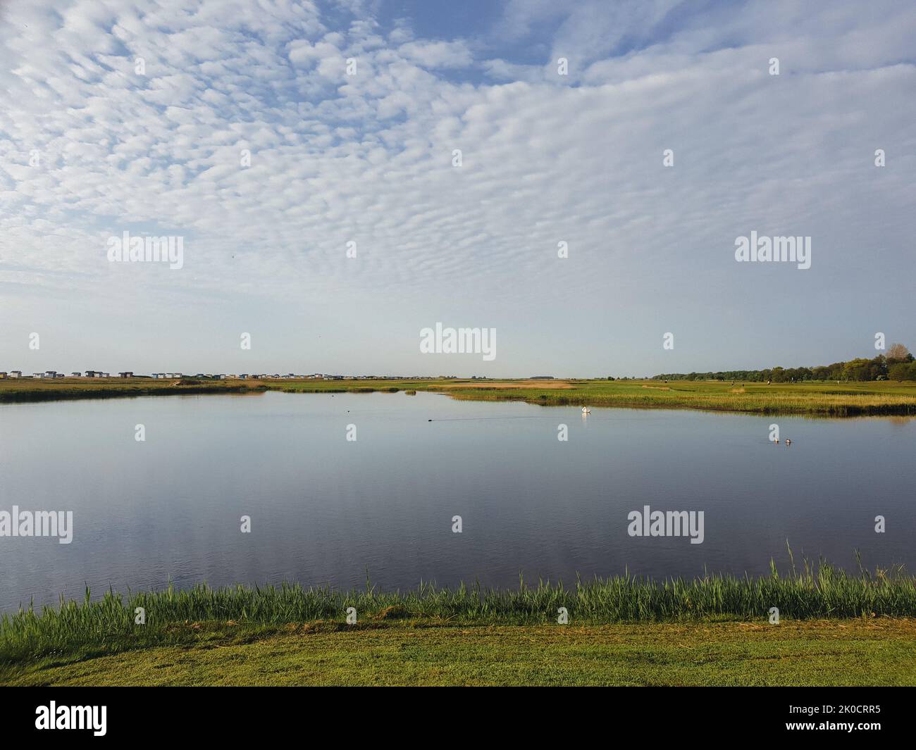 Calm lake on summer day in Skåne (Scania) Sweden Stock Photo - Alamy