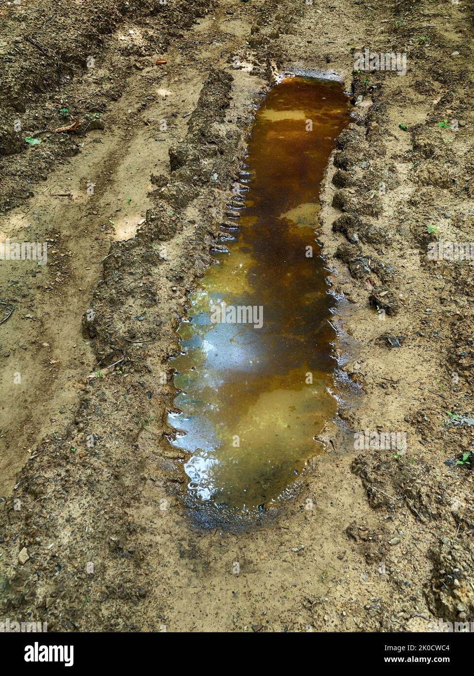 Shod foot hi-res stock photography and images - Alamy