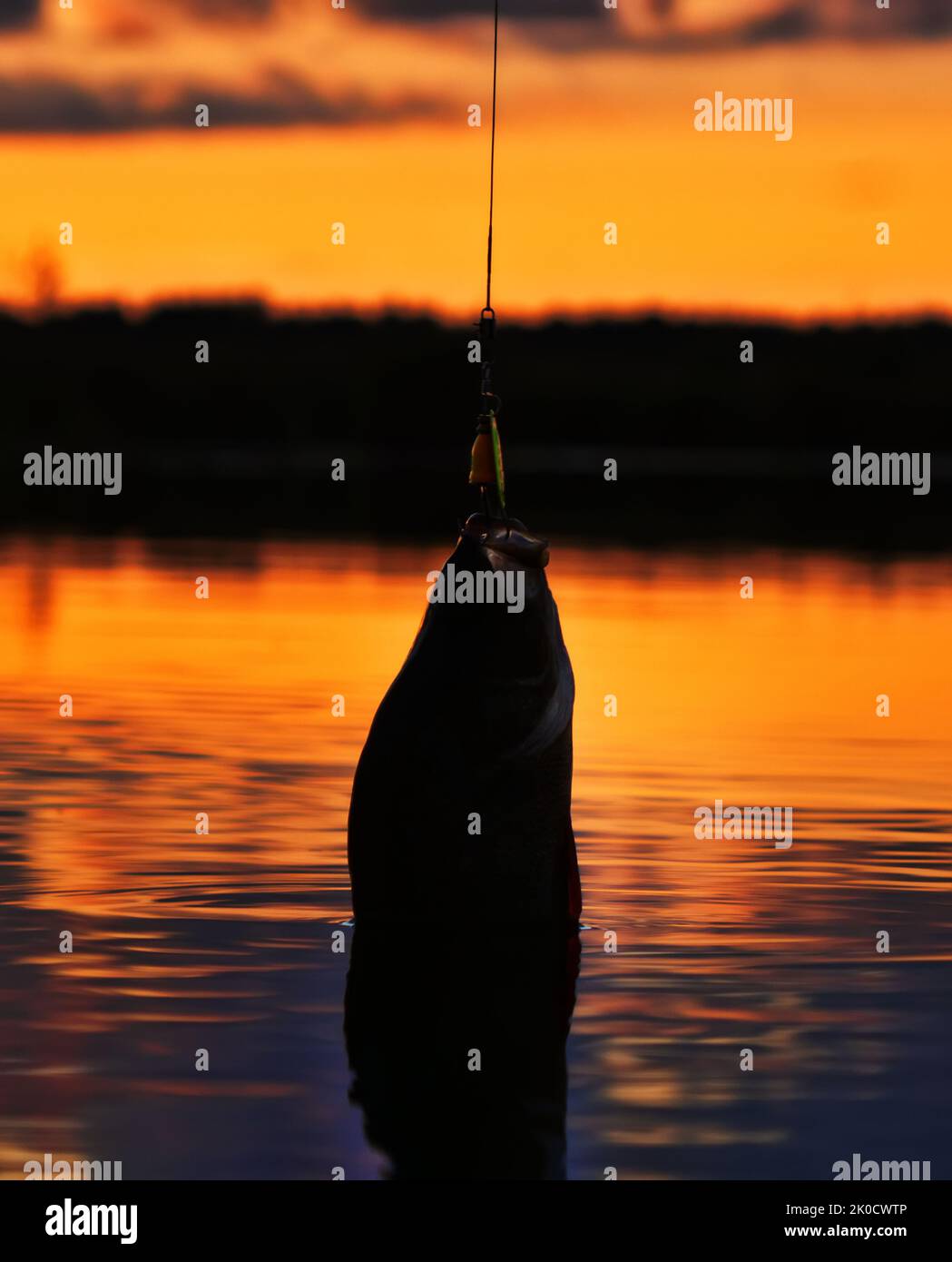 Fishing at sunset. Catching predatory fish on spinning. Sunset colors ...