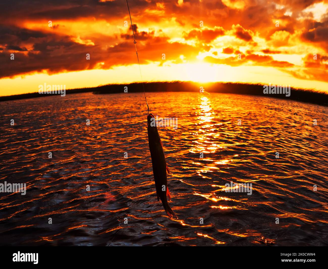 Fishing at sunset. Catching predatory fish on spinning. Sunset colors ...