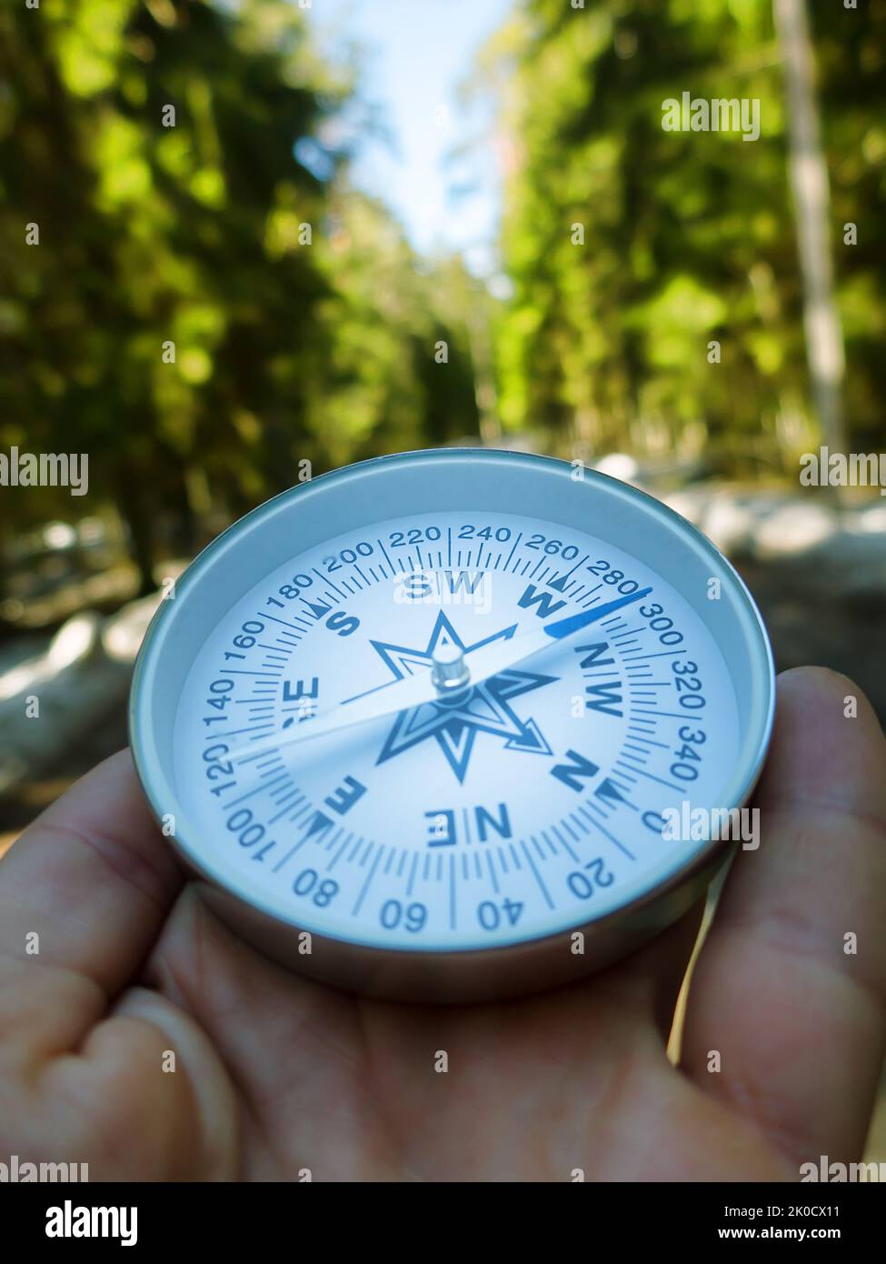 Spring calls for a journey. A forest road with melting snow and a ...