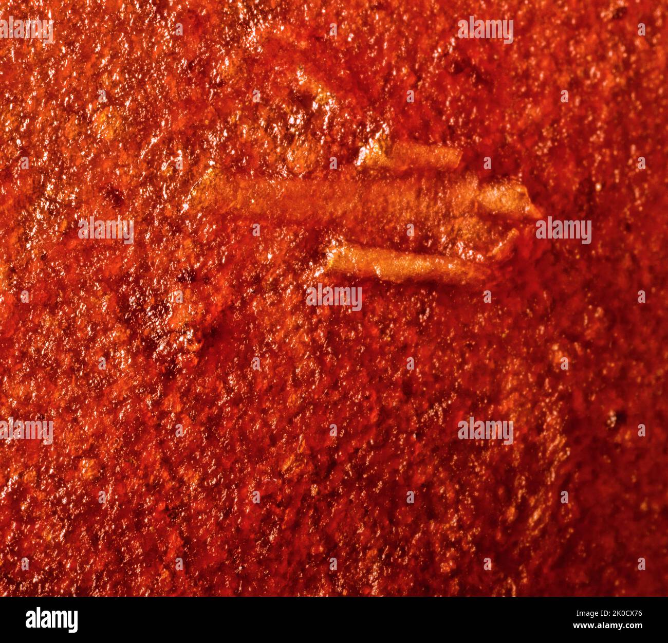 Oriental sweets. The surface of the fruit candy (pastille; marshmallow ...