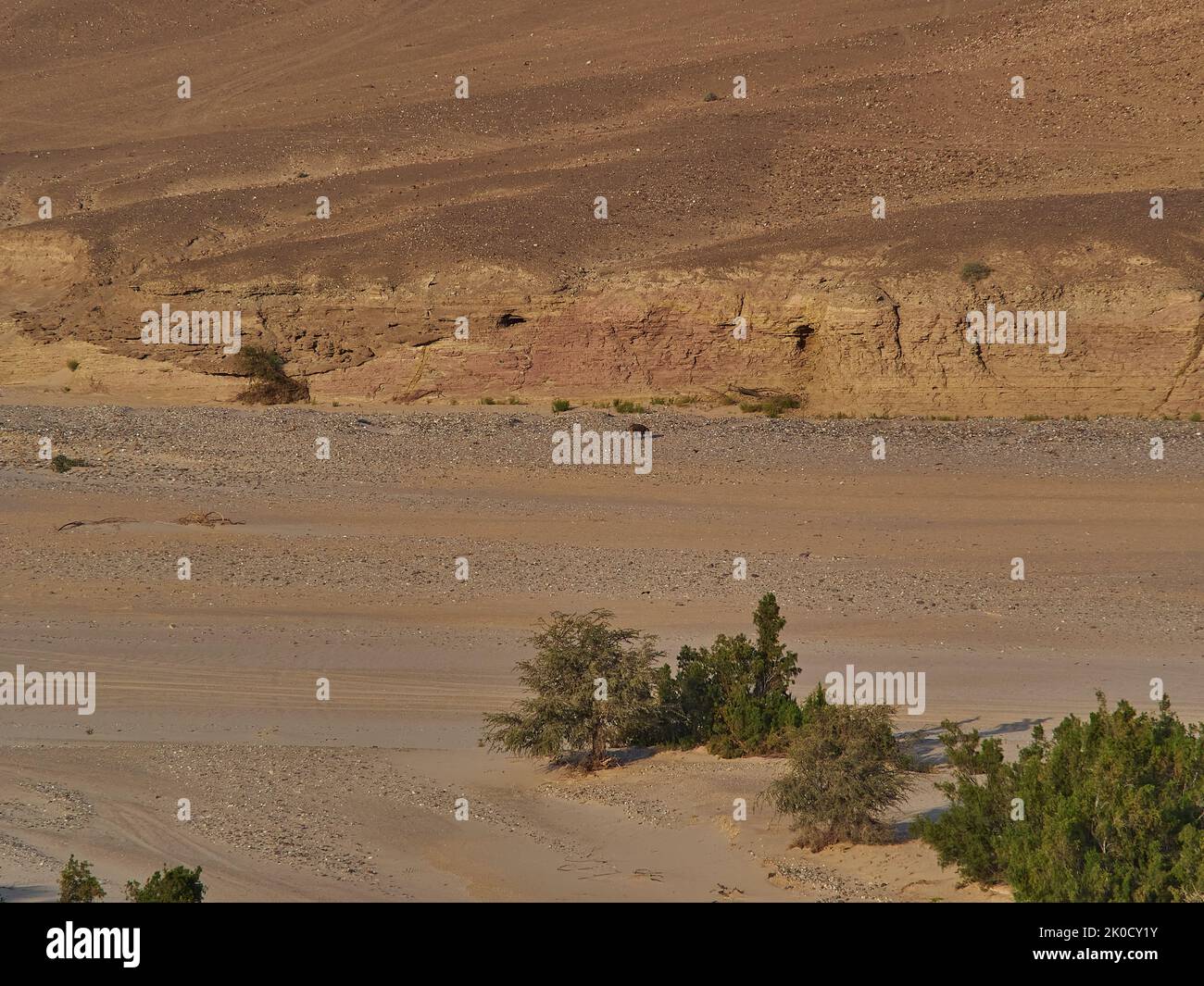 Ephemeral dry river hi-res stock photography and images - Alamy