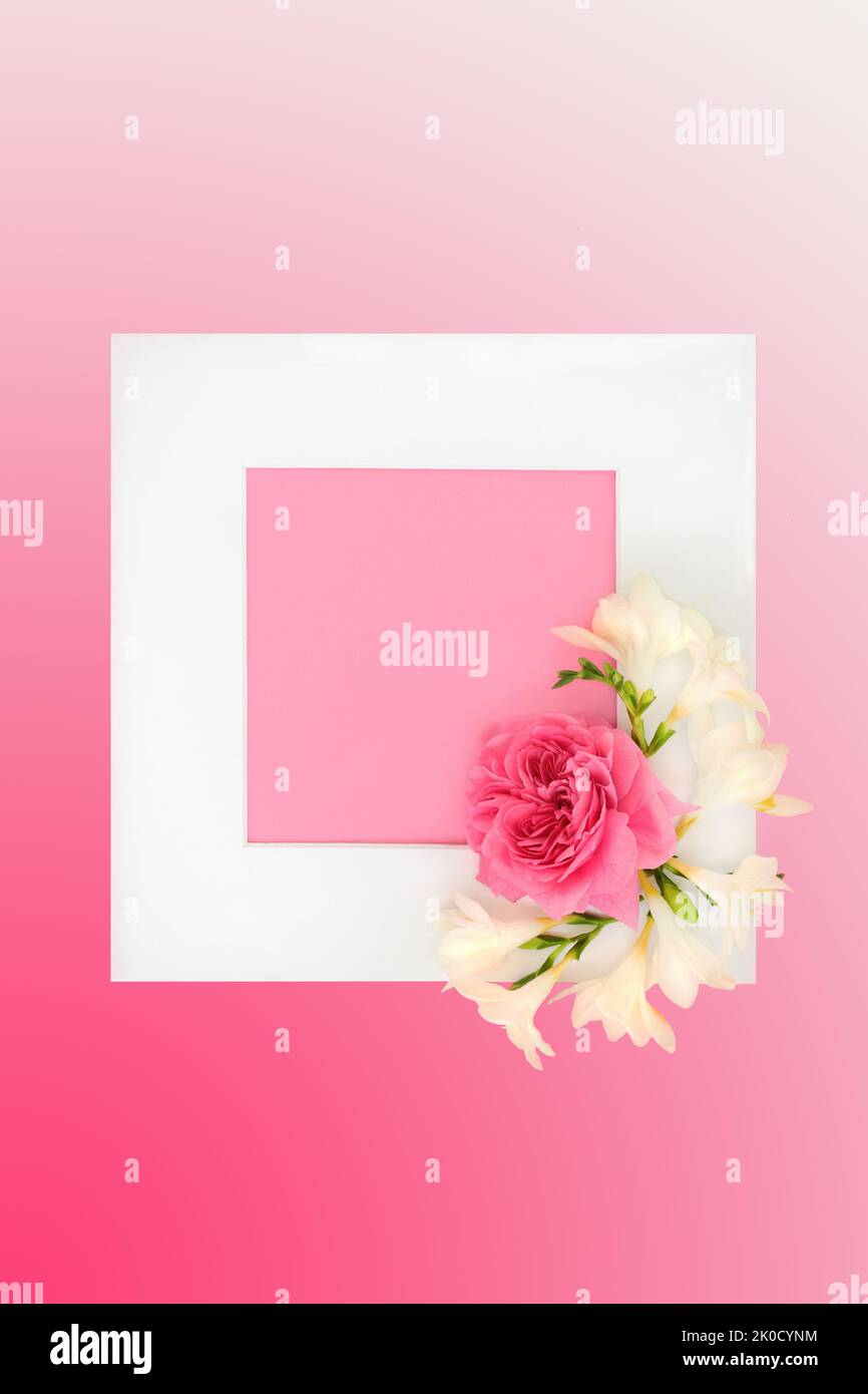 Pink rose and fresia flower romantic background frame. Minimal nature ...