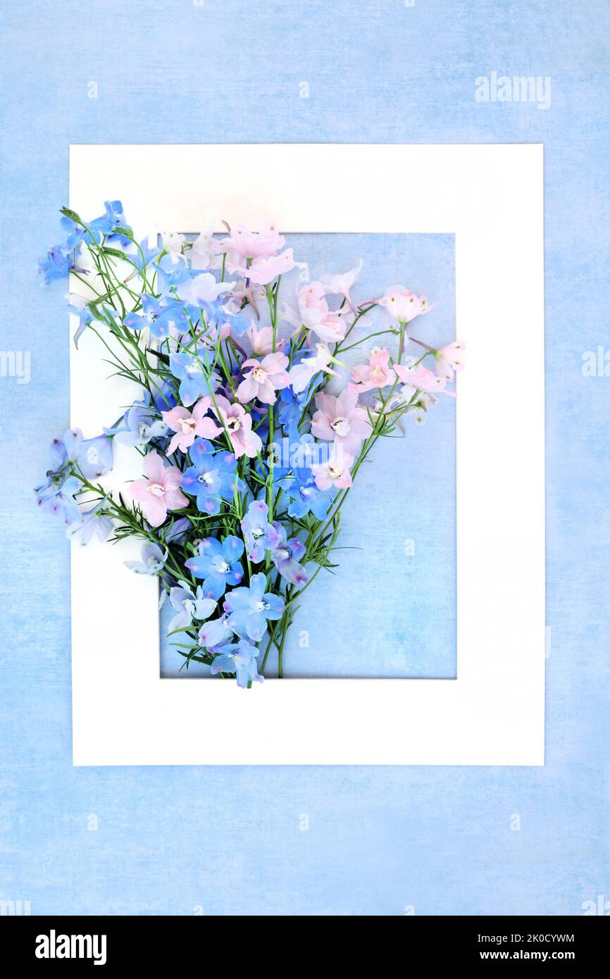 Delphinium flower arrangement summer background border on mottled blue ...