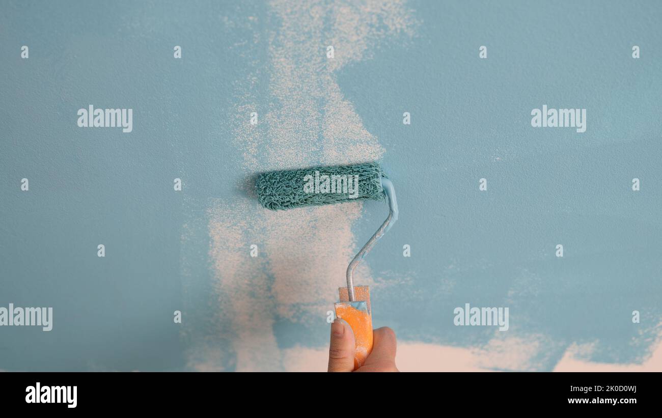 Hand painting the wall with decorator roller and painting walls Stock ...