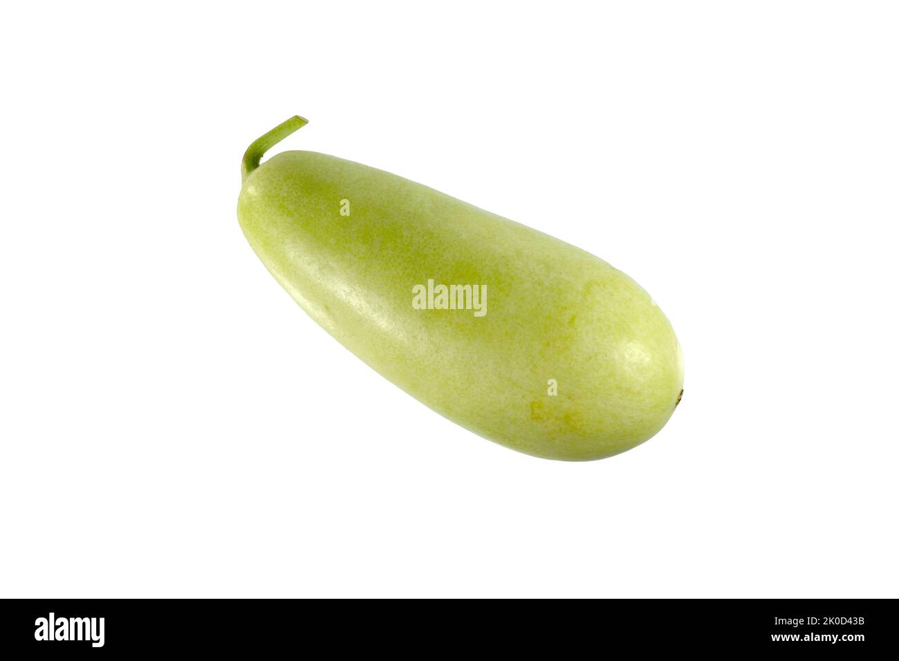 Lagenaria siceraria Bottle gourd isolated on white background. Top view ...