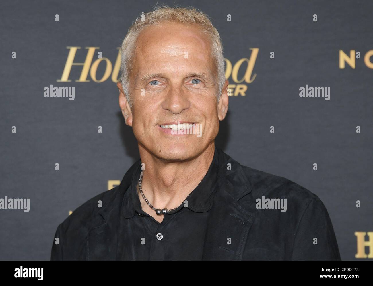 Patrick Fabian arrives at The Hollywood Reporter and SAG-AFTRA's EMMY ...