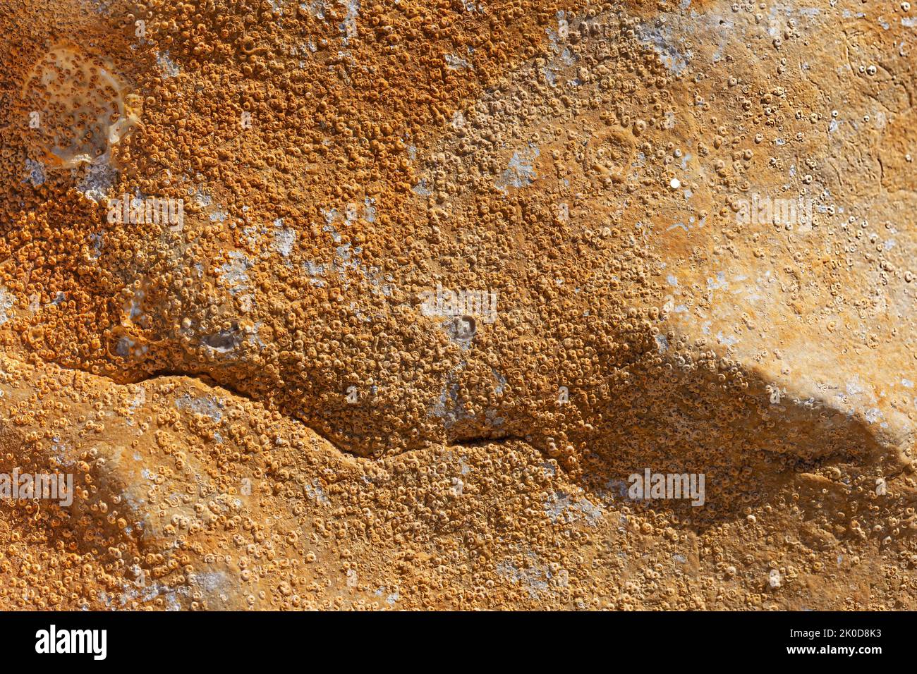 Stone wall texture for design Stock Photo - Alamy