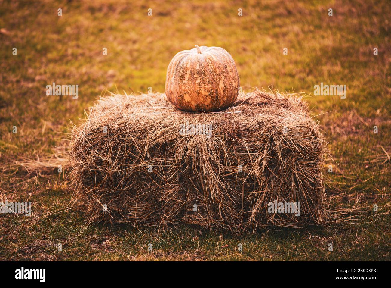 Haystack china hi-res stock photography and images - Alamy