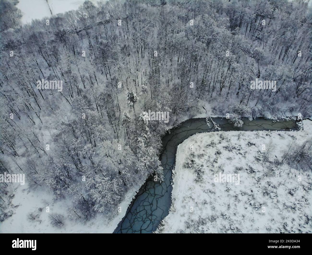 Snowy forest and curvy river on the plain in winter. Aerial view of ...