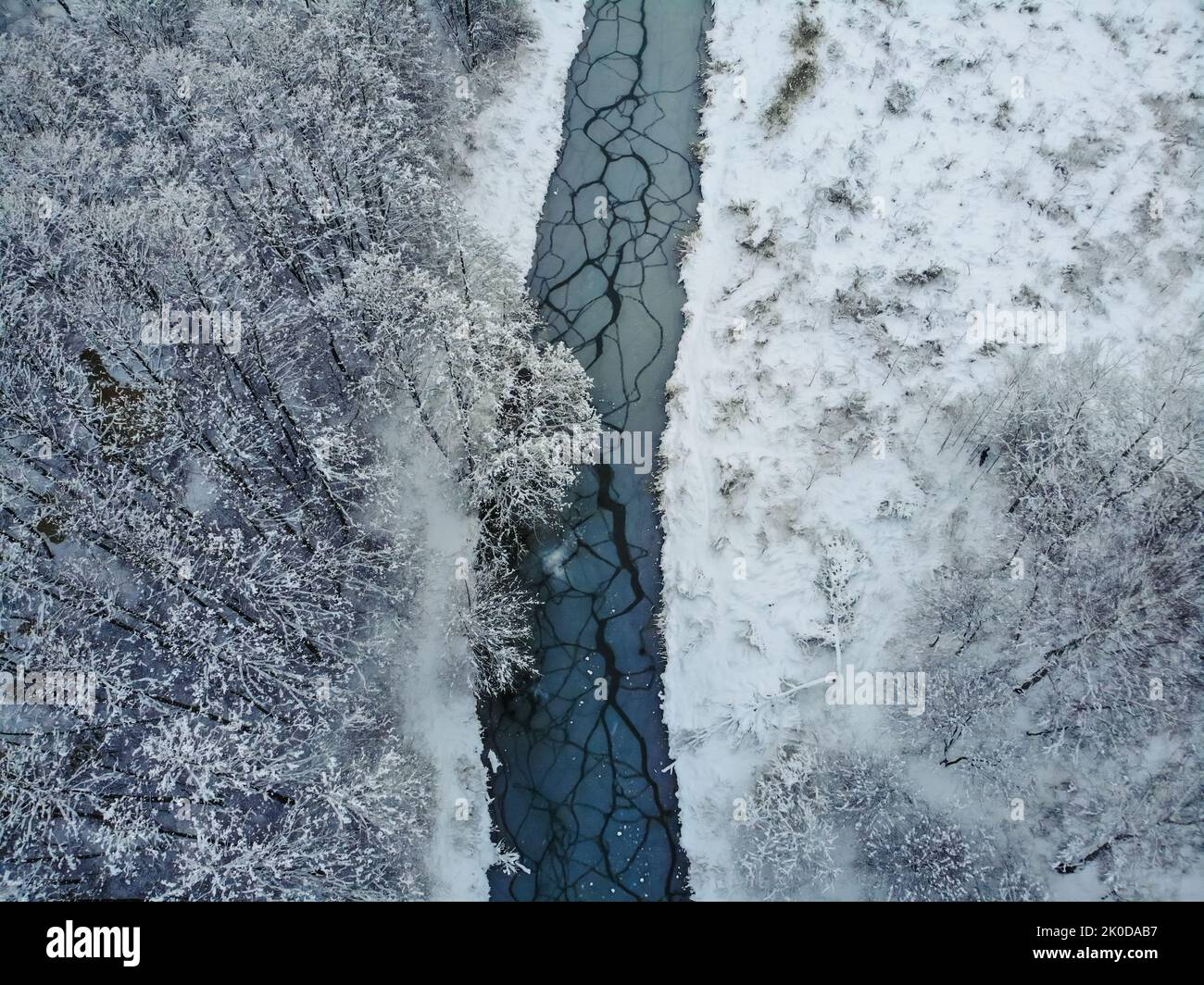 Snowy forest and curvy river on the plain in winter. Aerial view of ...