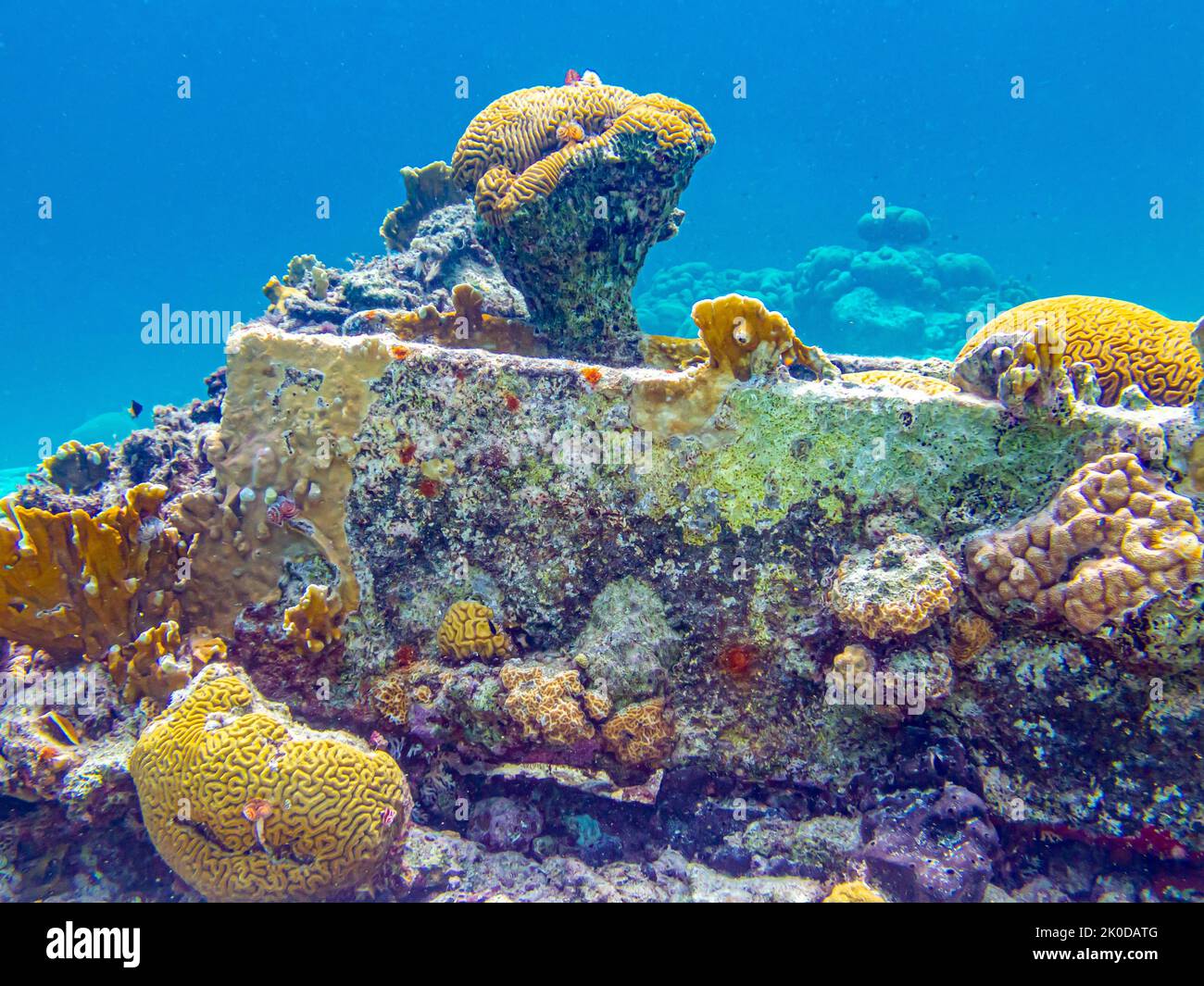 Caribbean coral reef off the coast of the island of Bonaire, ship wreck ...