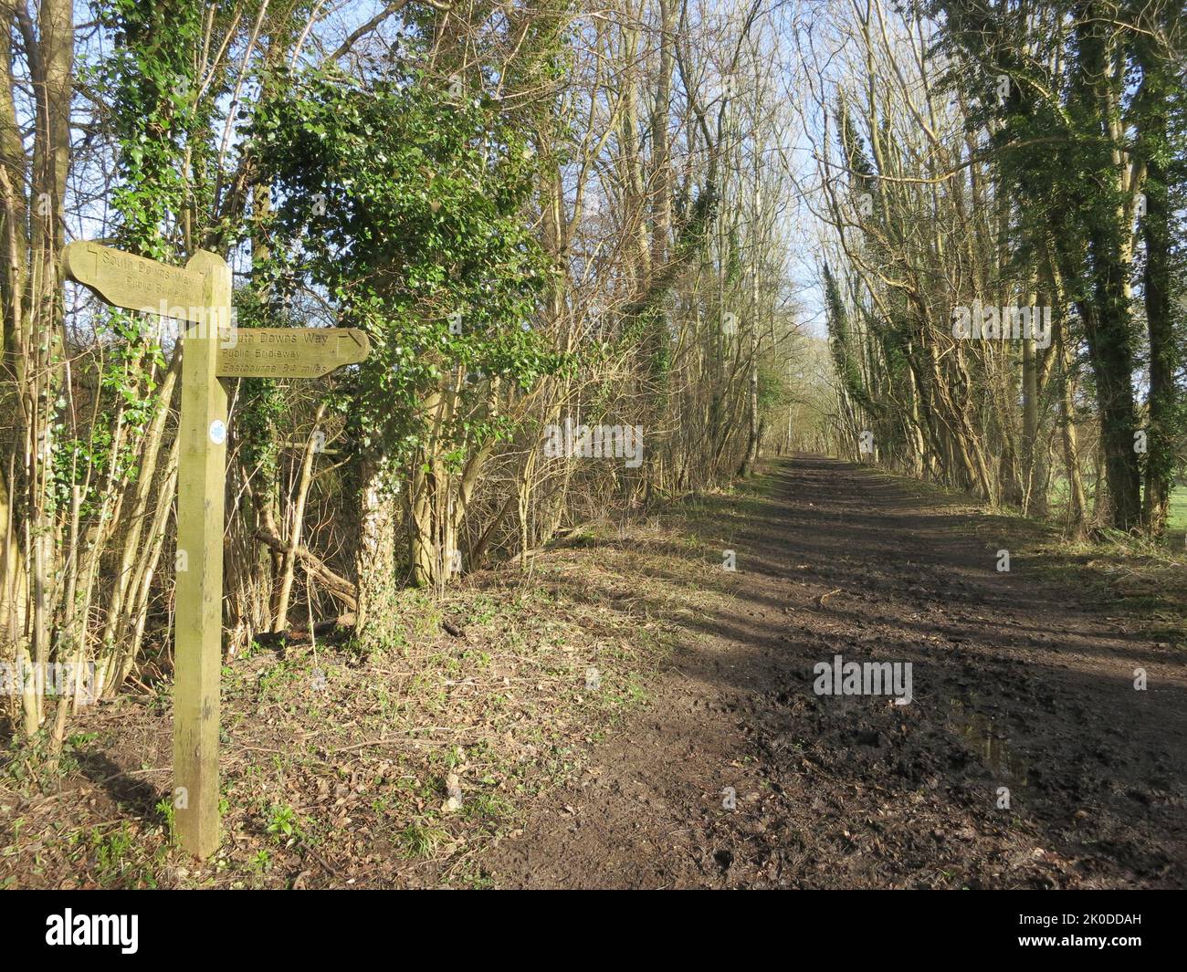 The South Downs Way National trail and park. long distance footpath ...
