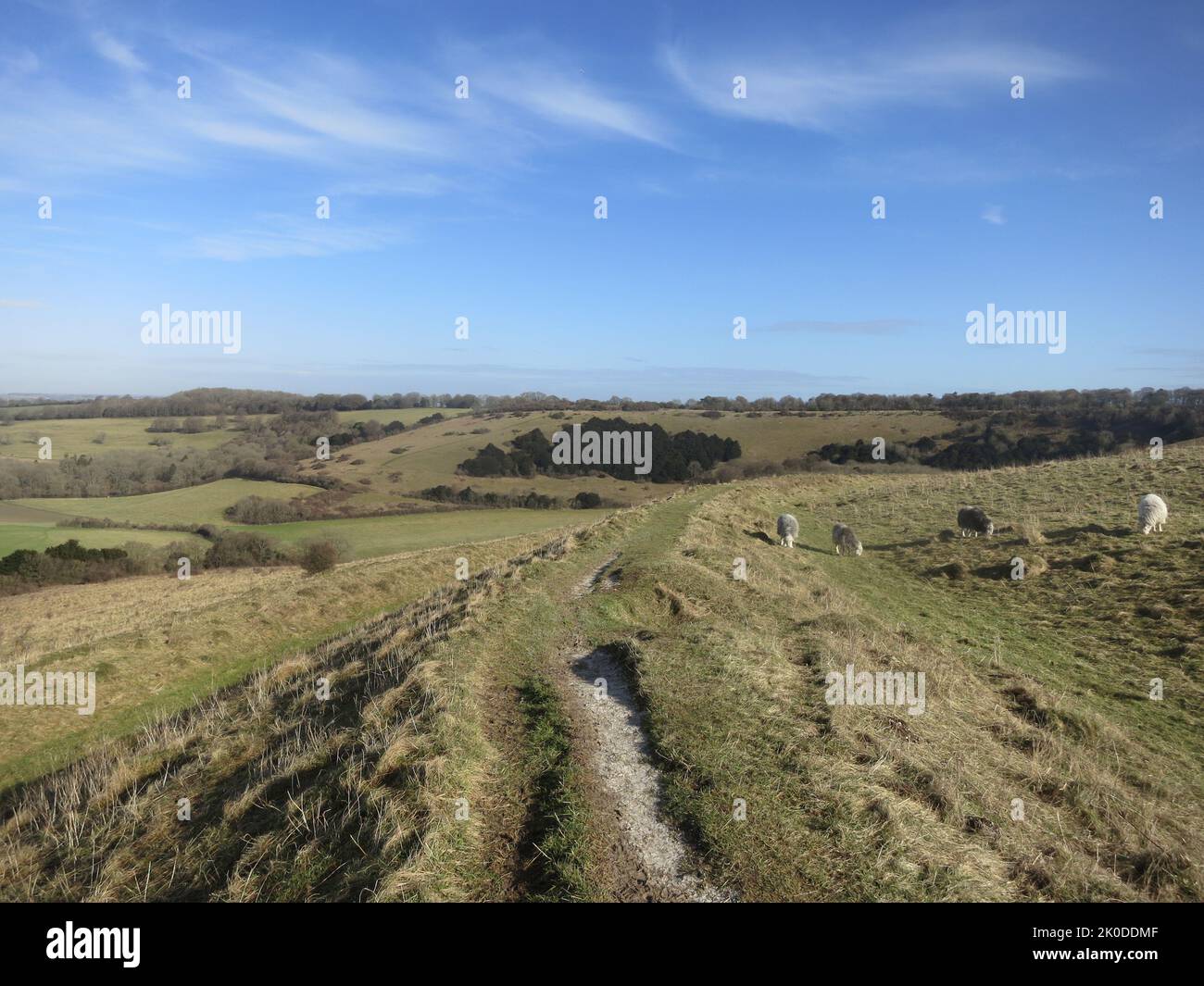 The South Downs Way National trail and park. long distance footpath ...