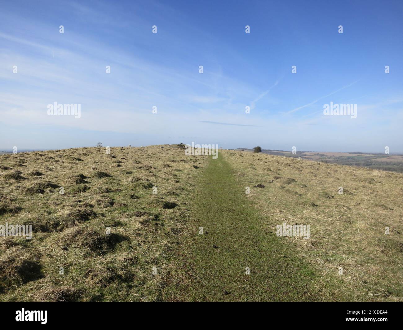 The South Downs Way National trail and park. long distance footpath ...