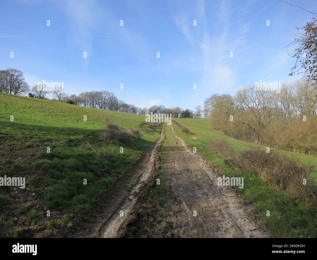 The South Downs Way National trail and park. long distance footpath ...
