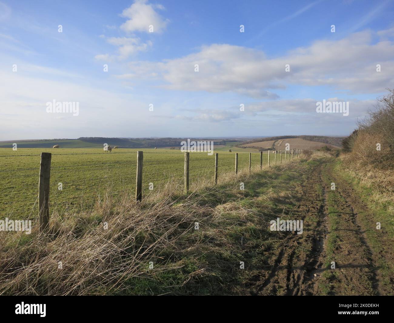 The South Downs Way National trail and park. long distance footpath ...