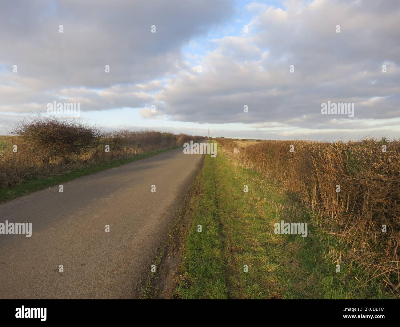 The South Downs Way National trail and park. long distance footpath ...