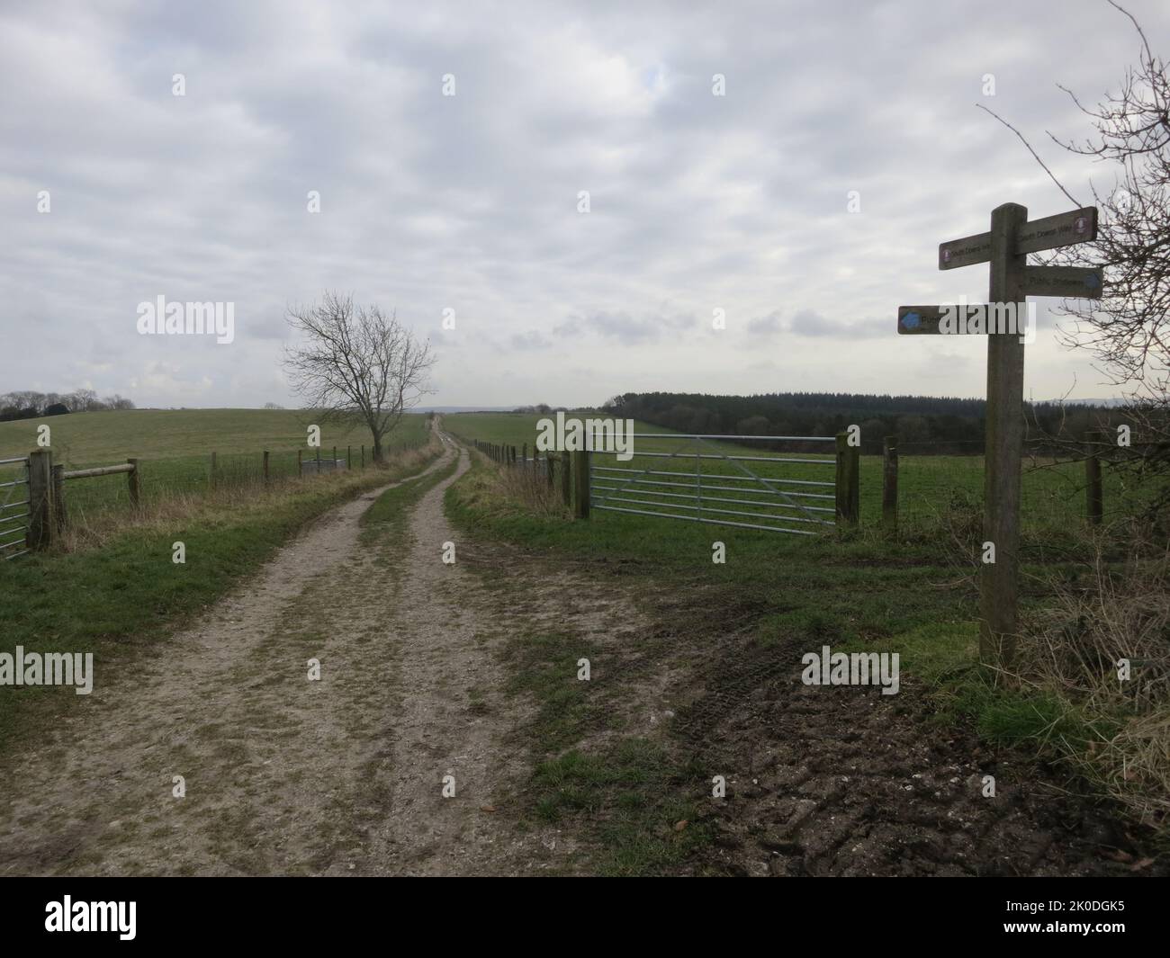 The South Downs Way National trail and park. long distance footpath ...