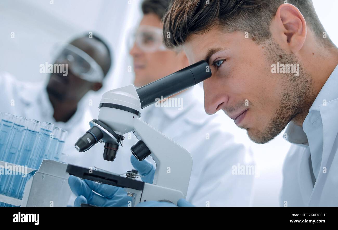 group of scientists in a modern laboratory Stock Photo - Alamy