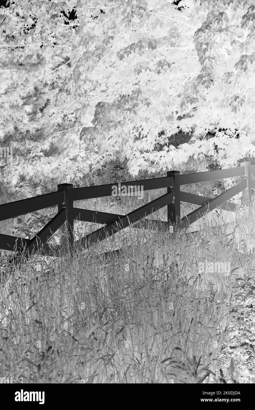 Traditional wooden fence surrounding the rural pasture in a black and ...