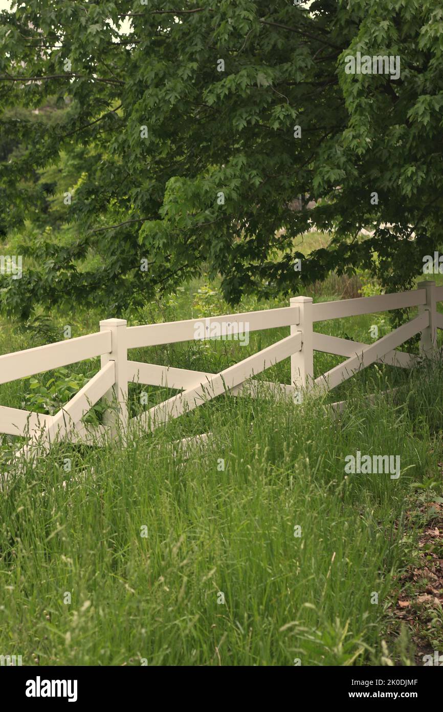 Traditional wooden fence surrounding the rural pasture Stock Photo - Alamy