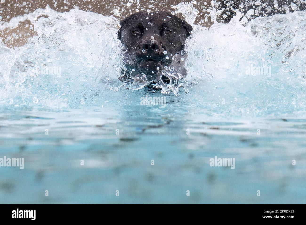 The last day of the outdoor pool season hi-res stock photography and ...