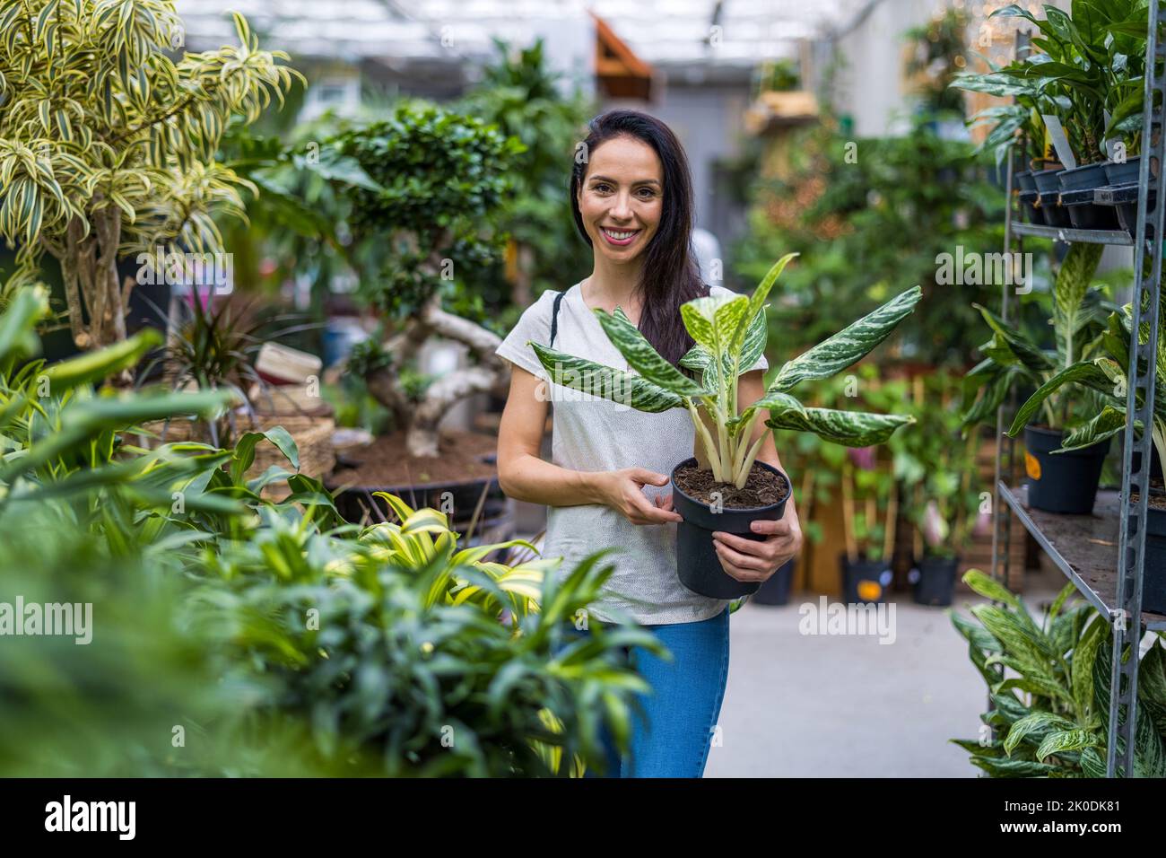 Garden center employee planting flower hi-res stock photography and ...