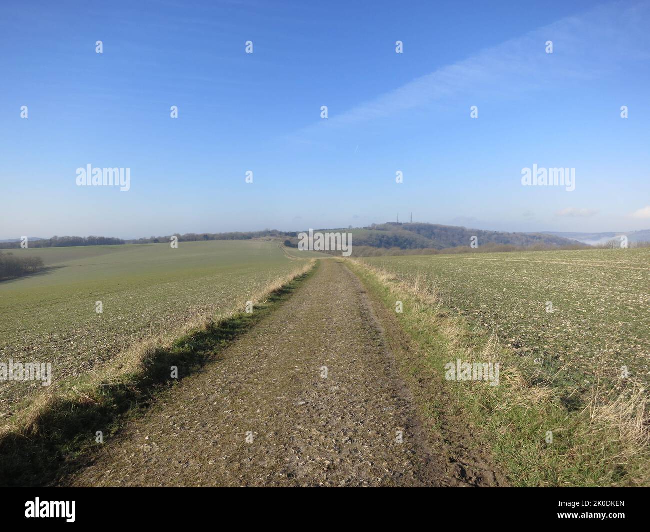 The South Downs Way National trail and park. long distance footpath ...