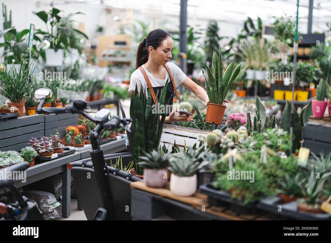 Garden Center Employee