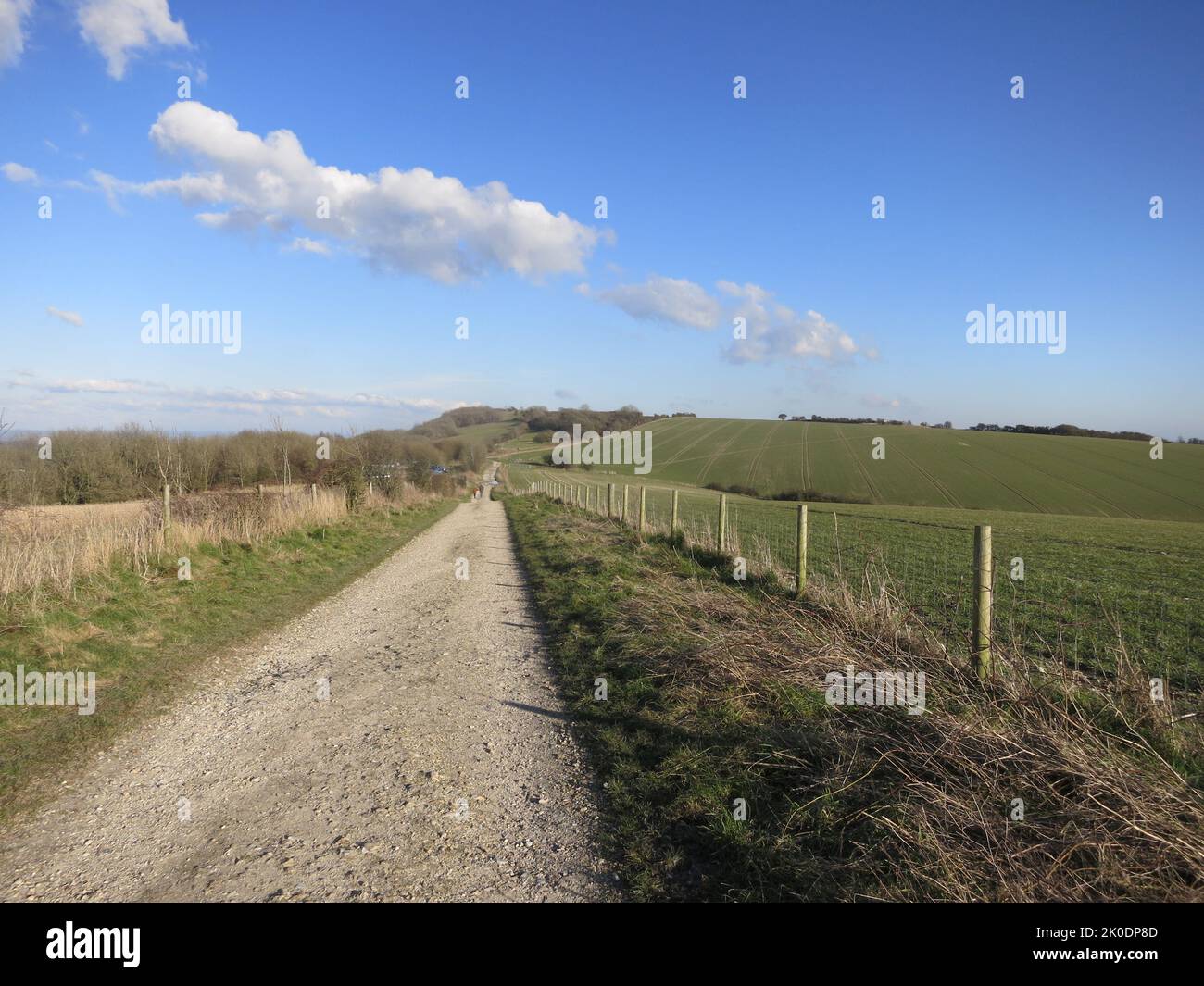 The South Downs Way National trail and park. long distance footpath ...