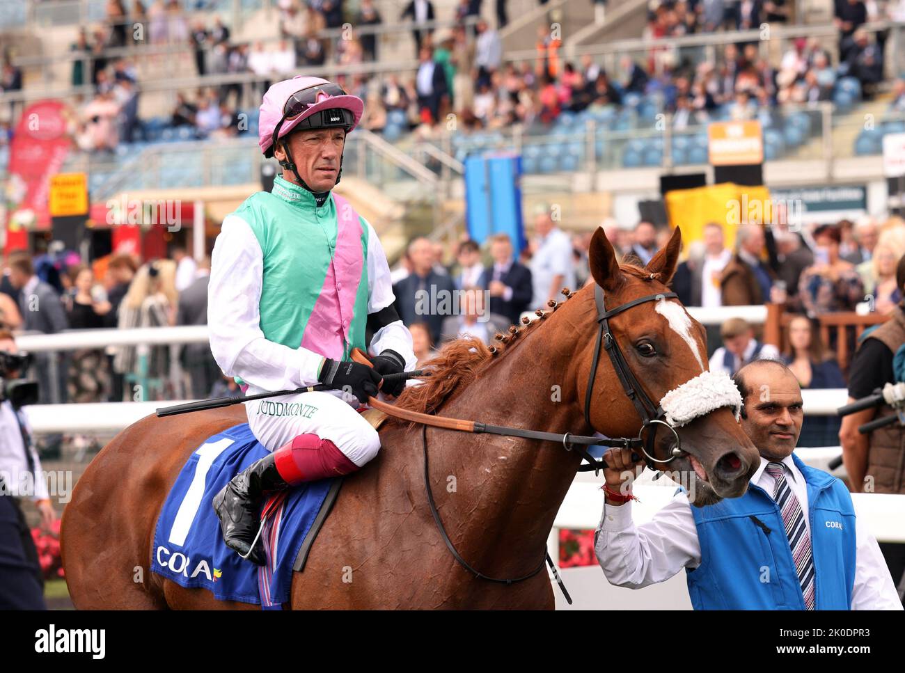 Chaldean horse hi-res stock photography and images - Alamy