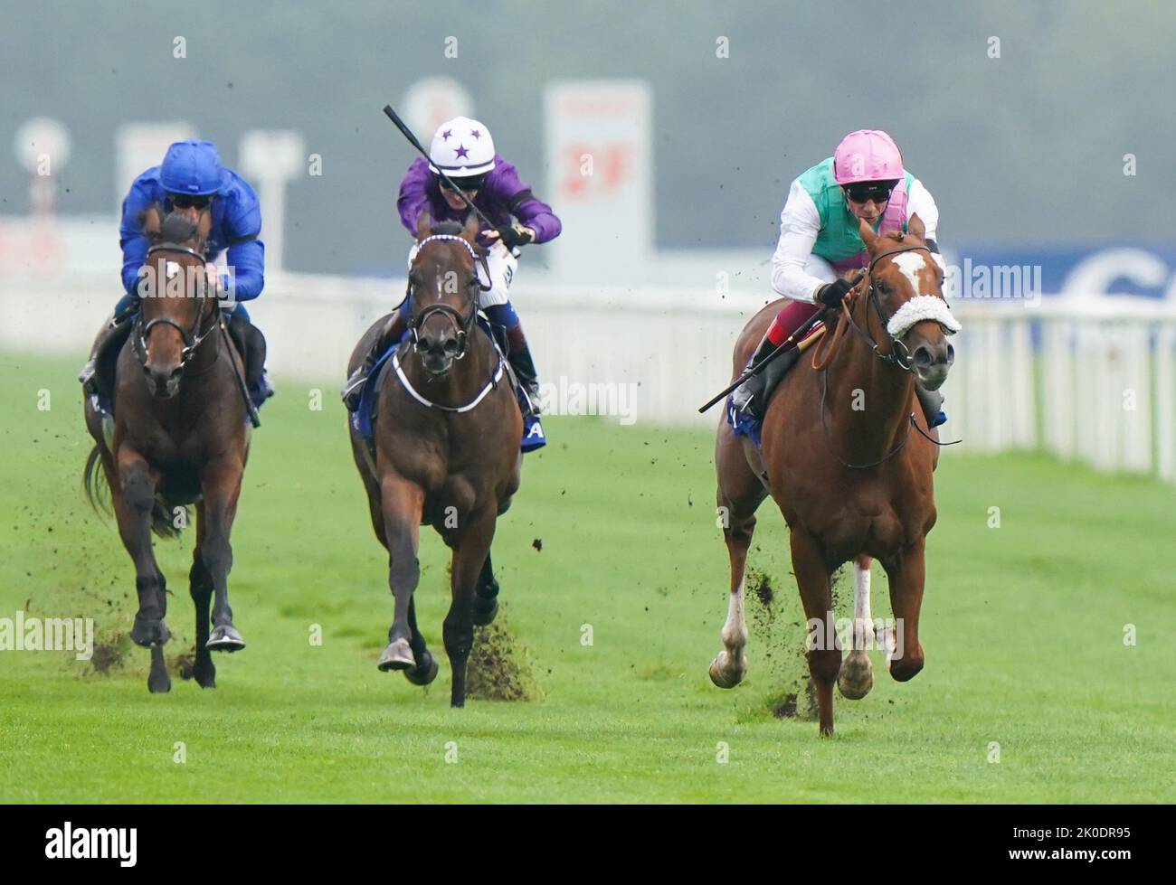 Chaldean horse hi-res stock photography and images - Alamy