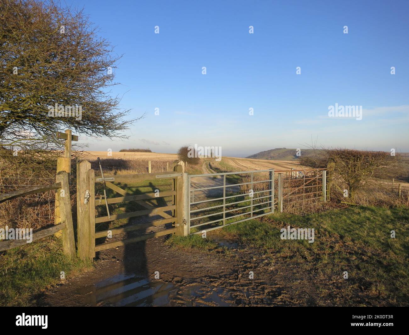 The South Downs Way National trail and park. long distance footpath ...