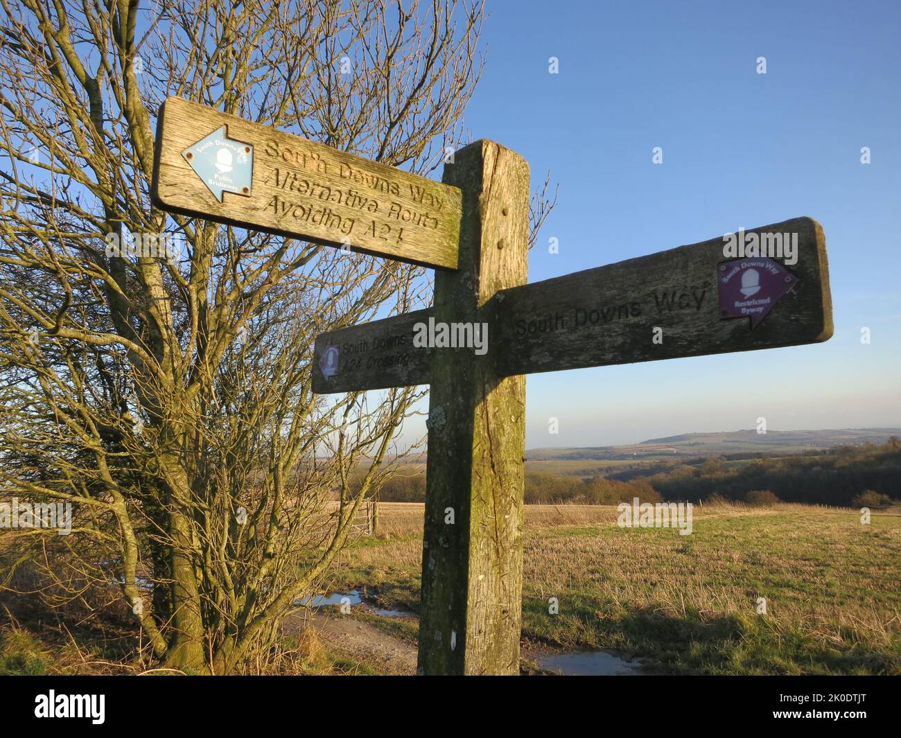 The South Downs Way National trail and park. long distance footpath ...