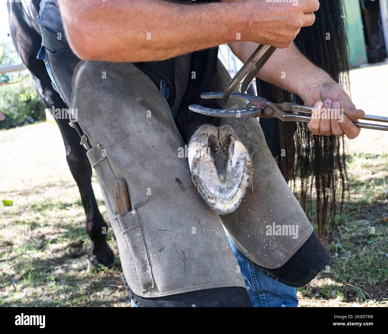 Farrier with horse hoof working close up Stock Photo - Alamy