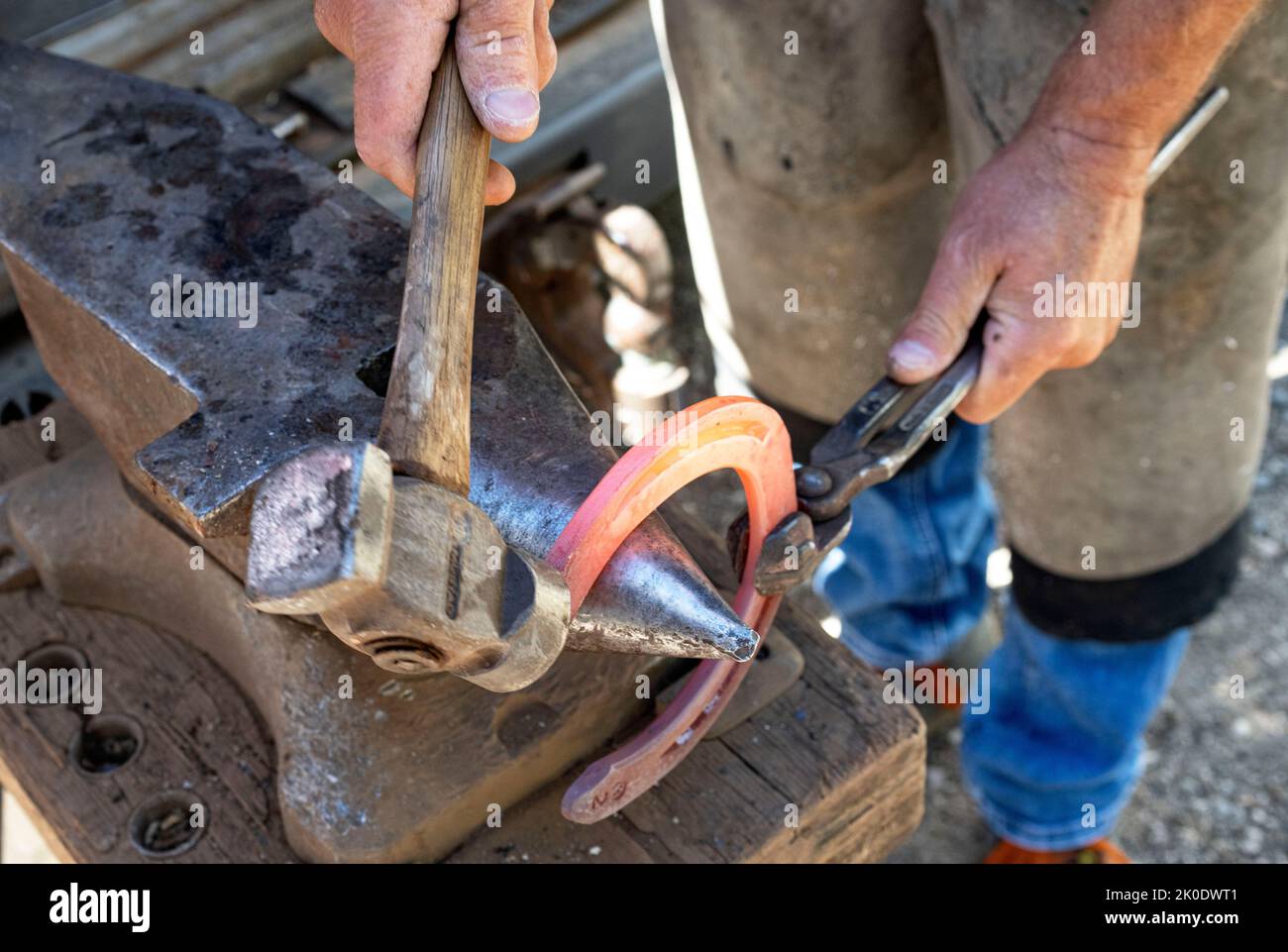 Farrier with horse hoof working close up Stock Photo - Alamy