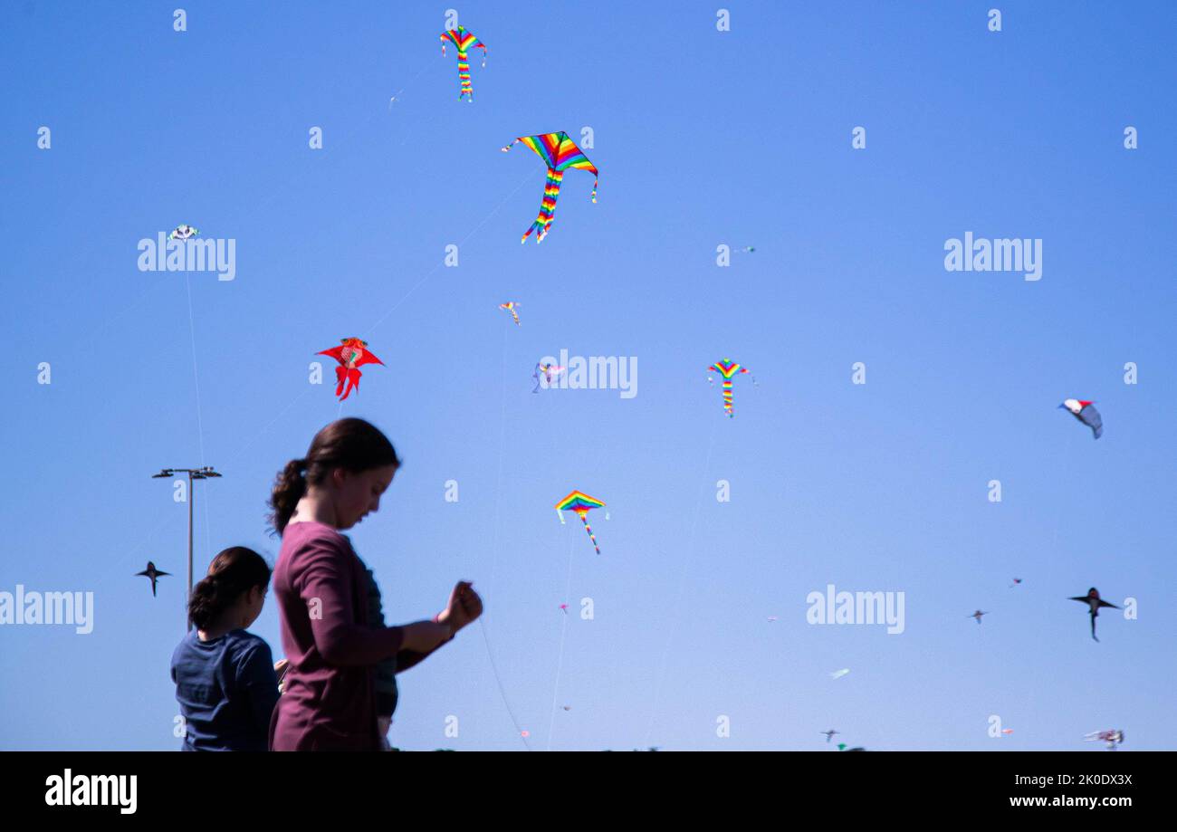 Sydney, Australia. 11th Sep, 2022. Kites are seen flying above Bondi ...