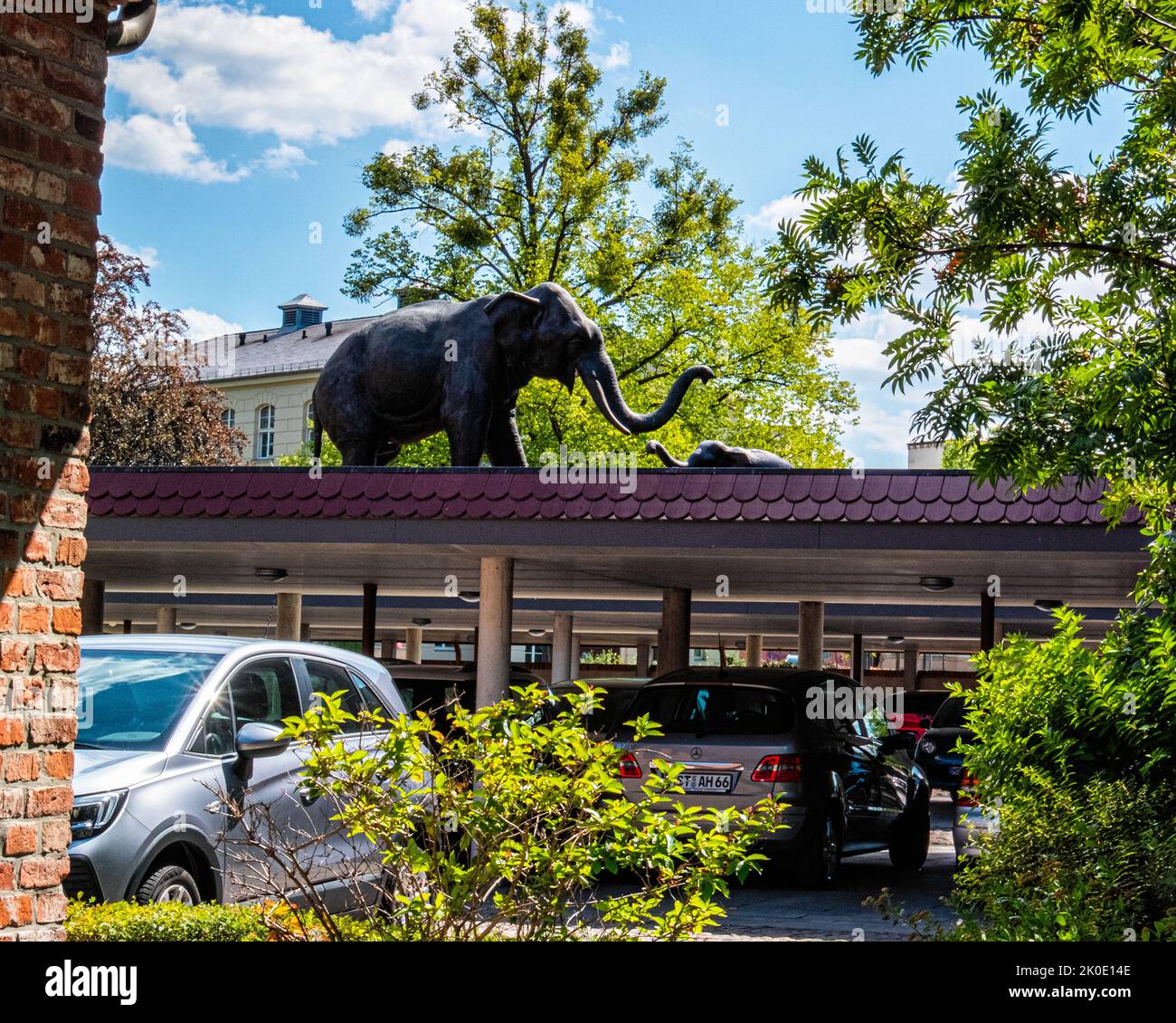 Elephants on roof hi-res stock photography and images - Alamy
