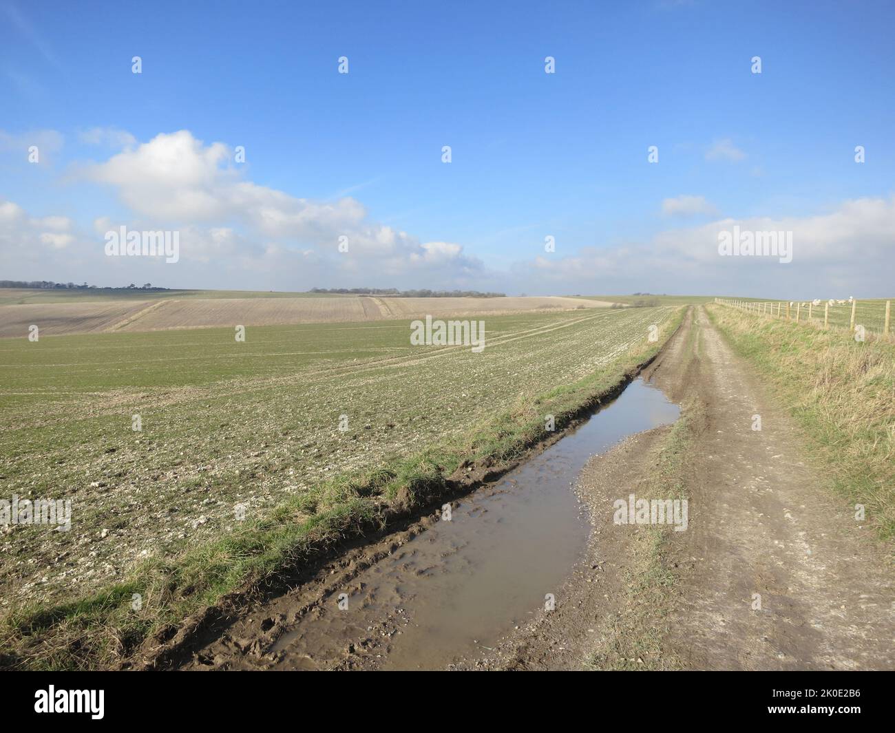 The South Downs Way National trail and park. long distance footpath ...