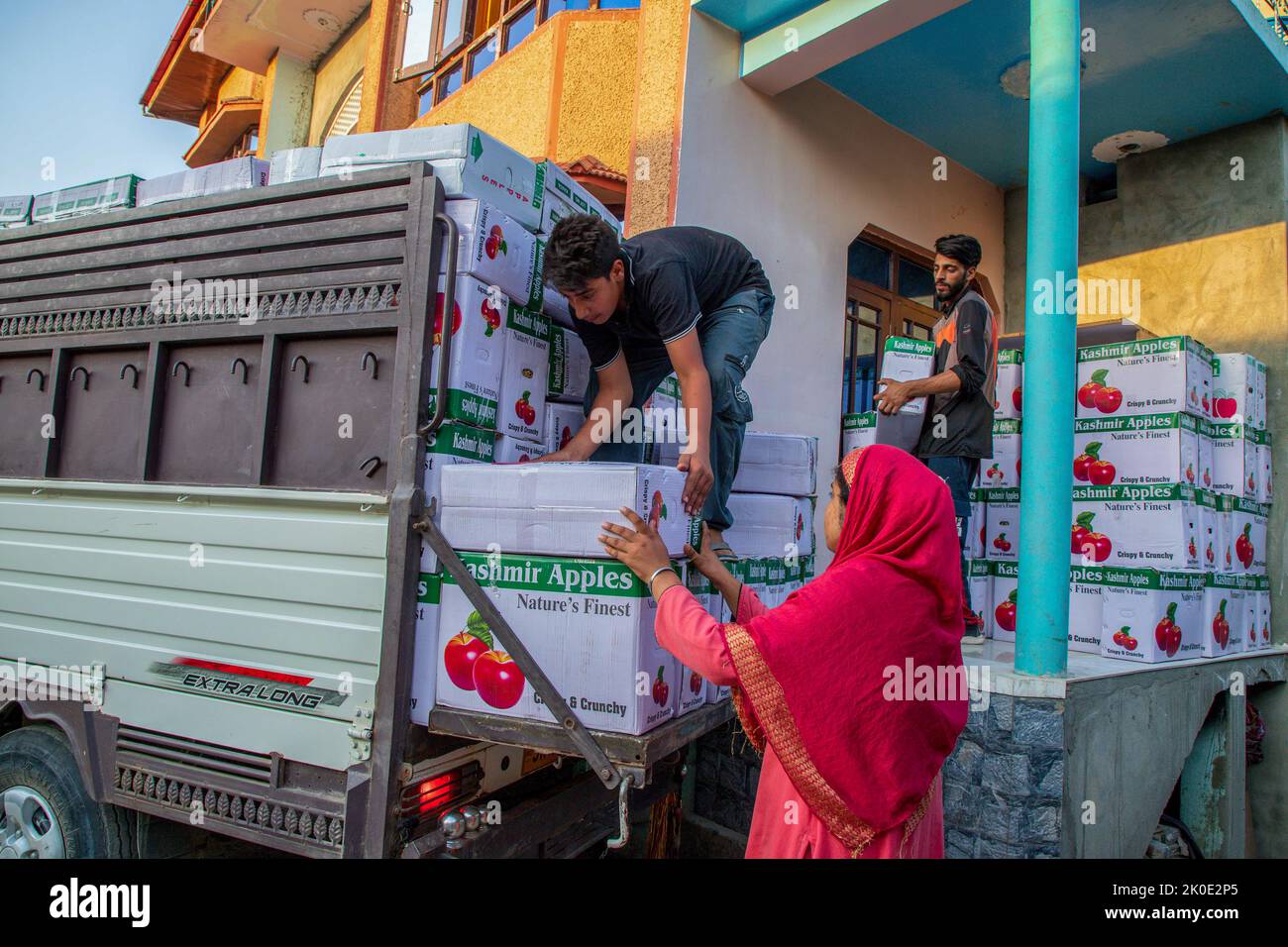 Farmers seen loading fresh boxes of apple on a load carrier during the harvesting season on the ...