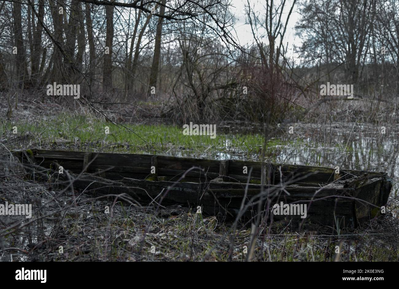 Old abandoned boat in the swamp Stock Photo - Alamy