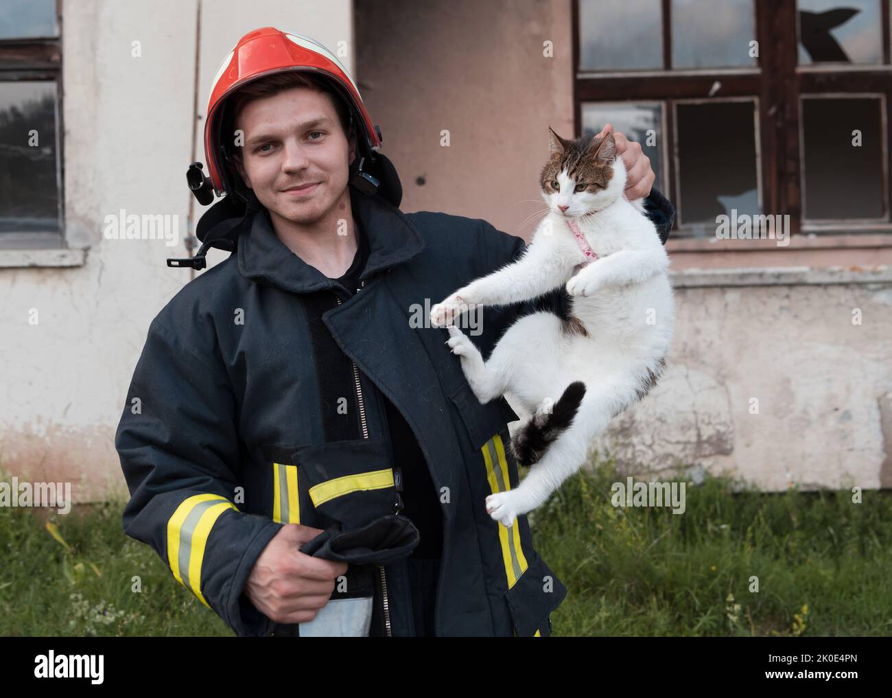 Cat fire engine hi-res stock photography and images - Alamy