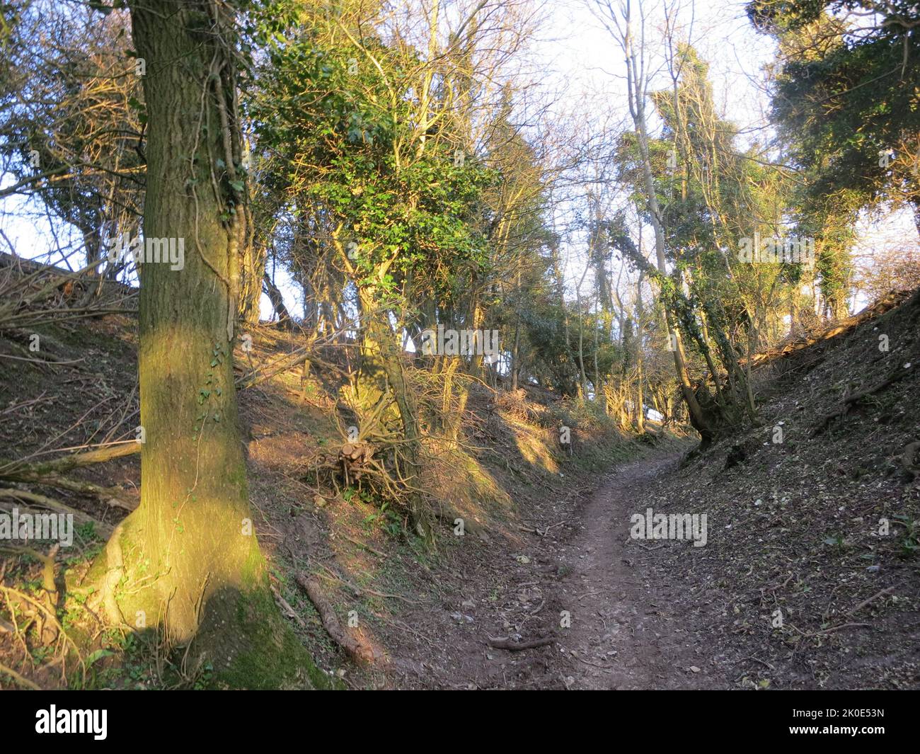 The South Downs Way National trail and park. long distance footpath ...