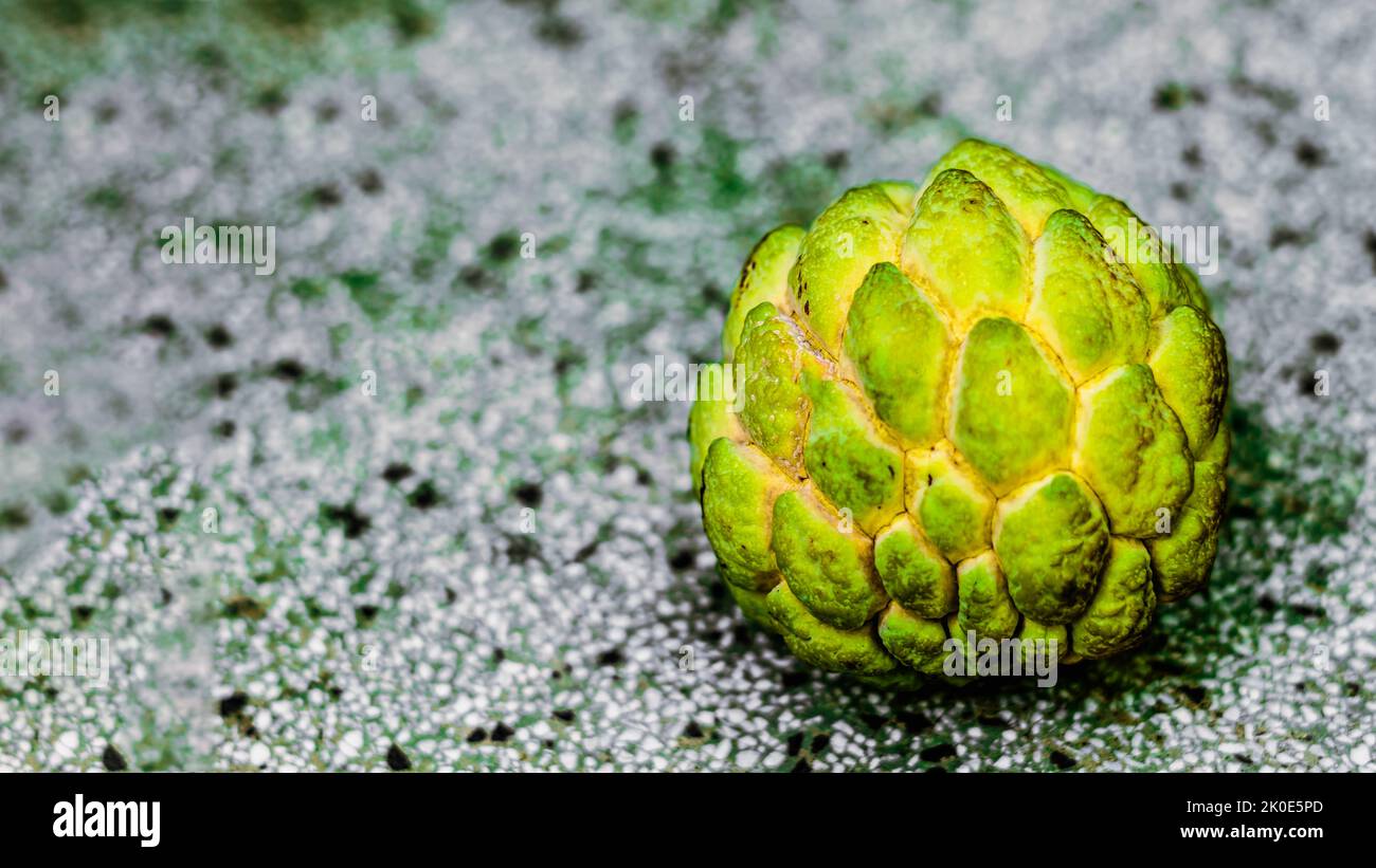 Real photo Ripened close macro sugar custard apple annona exotic ...